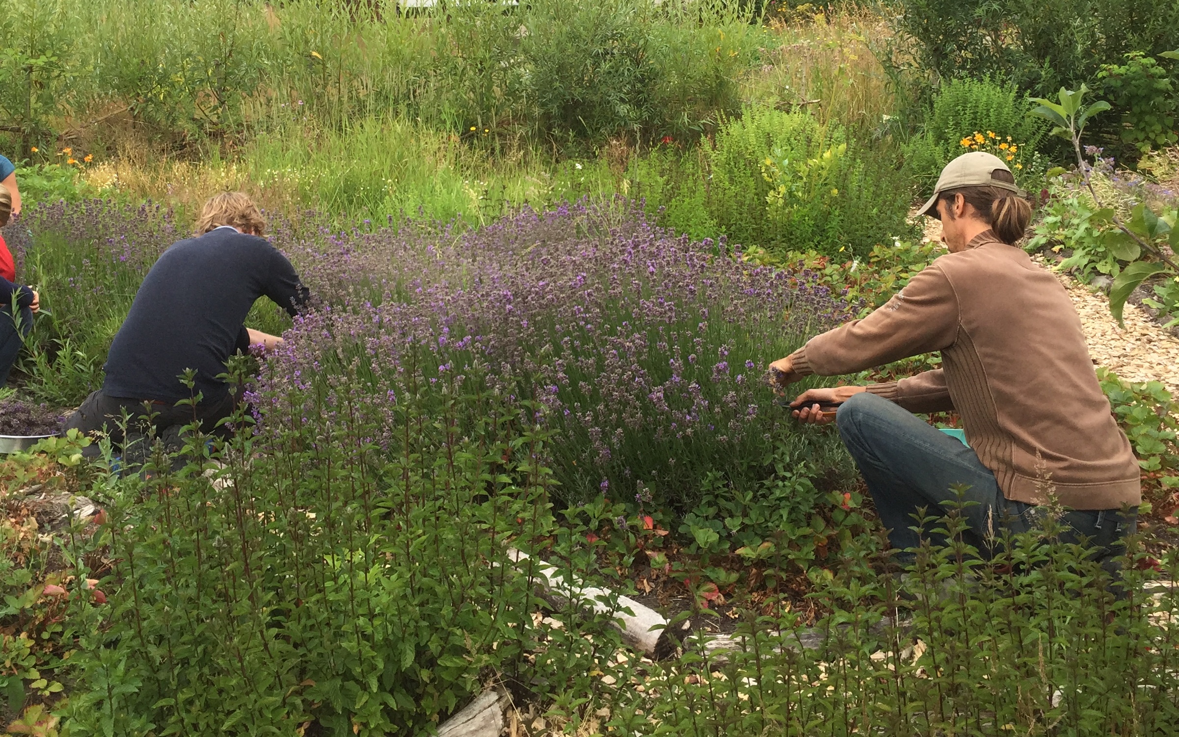 MEEWERKDAGEN – OEST Farm&Stay